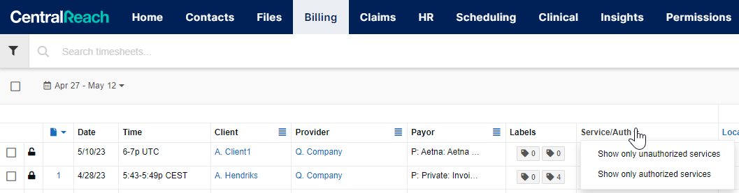 Knowledge: "Service/Auth" Filters in the Timesheets Screen
